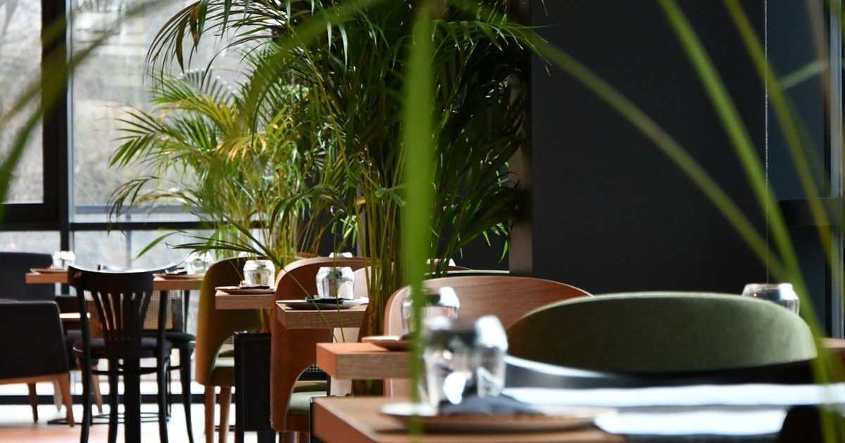 Restauracja Tatarak Piła: zarezerwuj stolik, przejrzyj nasze menu i ...